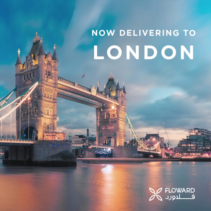 Floward launches in London - Floward